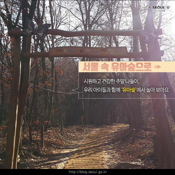 정원도시 서울(서울의 공원)