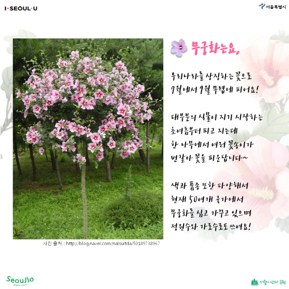 정원도시 서울(서울의 공원)