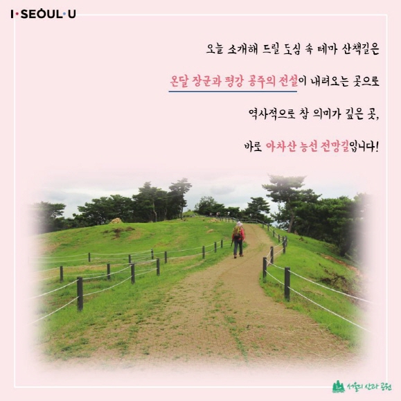 정원도시 서울(서울의 공원)